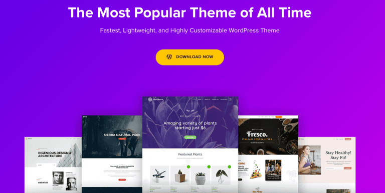 Astra Theme Review – Best WordPress Themes Reviews