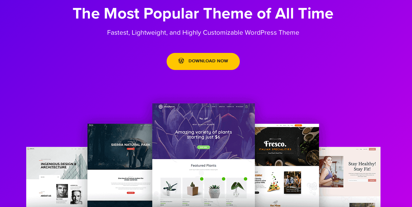 Astra Theme Review 2023 Best WordPress Themes Reviews